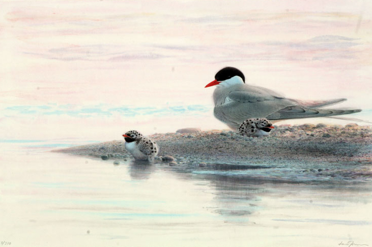 Lars Jonsson - Galleri R